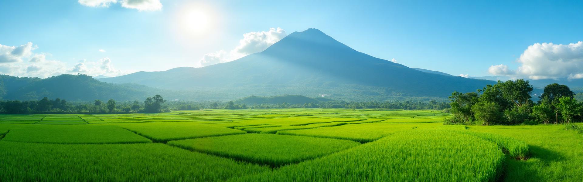Manila to Bicol Bus Online Booking | Bus Tickets | Schedule & Fares ...